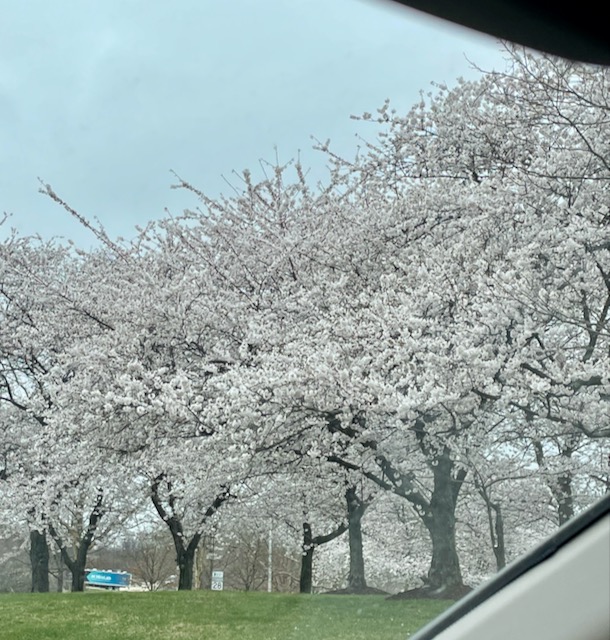 Spring Is Here to Stay and Inner Beast Ch.1 – Lydia Hope